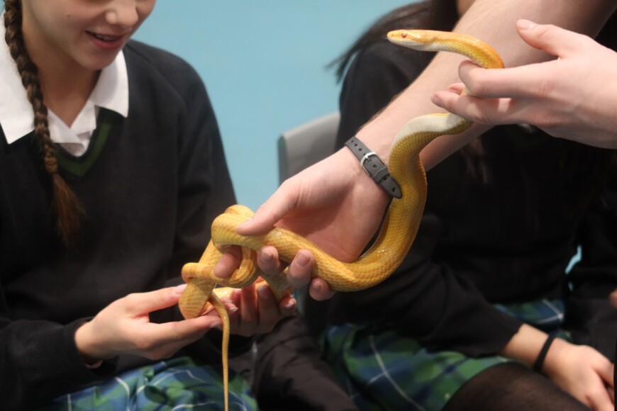 Visits and Trips - Uplands Academy