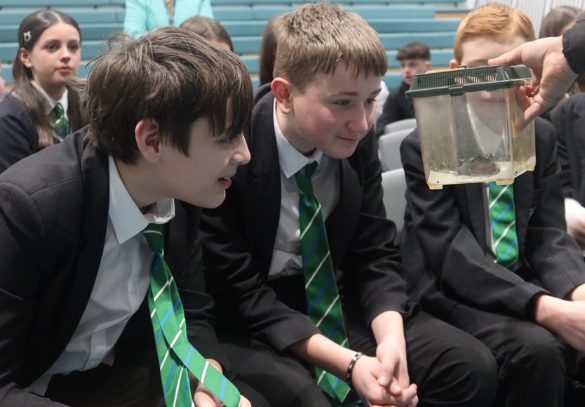 Year 8 get up close with creepy crawlies in exciting Zoolab visit ...