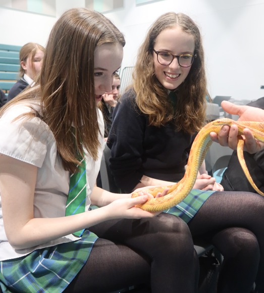 Year 8 get up close with creepy crawlies in exciting Zoolab visit ...